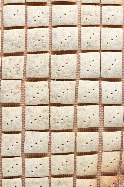 Easy Quinoa Crackers | Amy's Healthy Baking