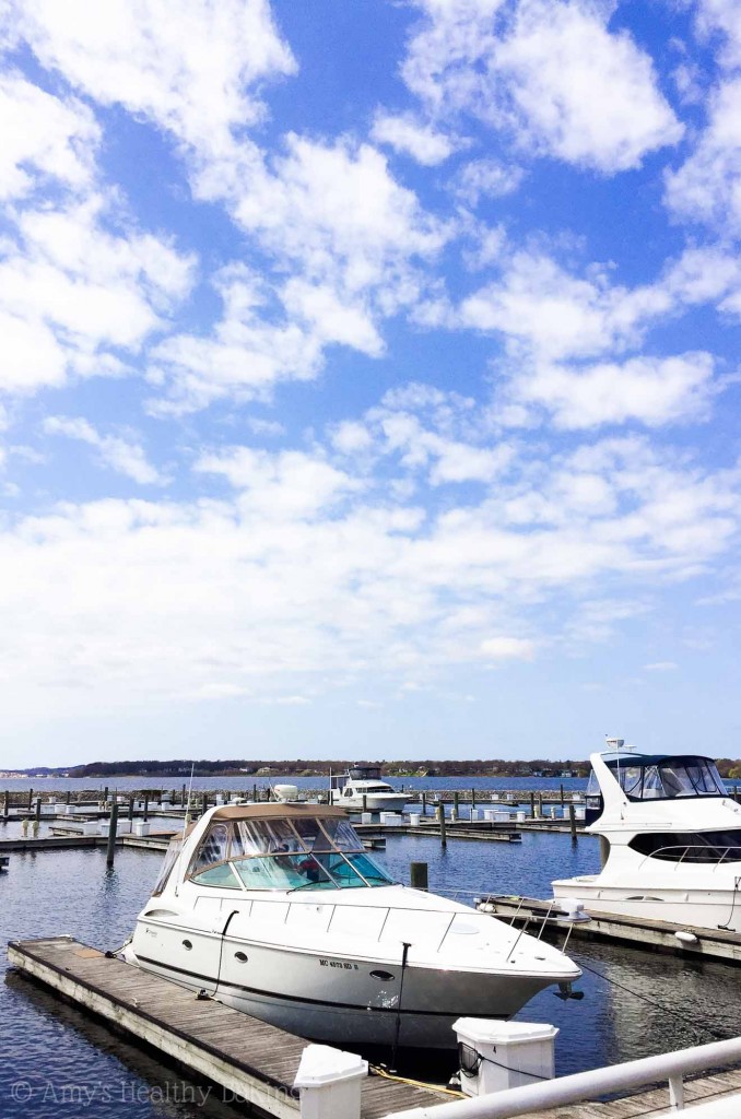 The Best Michigan Vacation I’ve Ever Taken | Amy's Healthy Baking