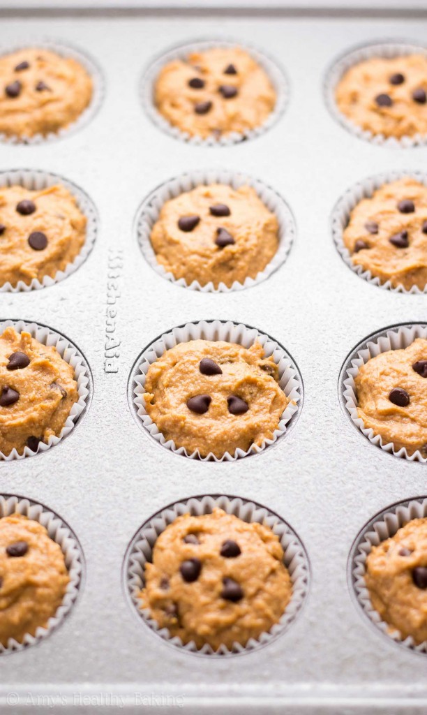 Chocolate Chip Pumpkin Mini Muffins | Amy's Healthy Baking
