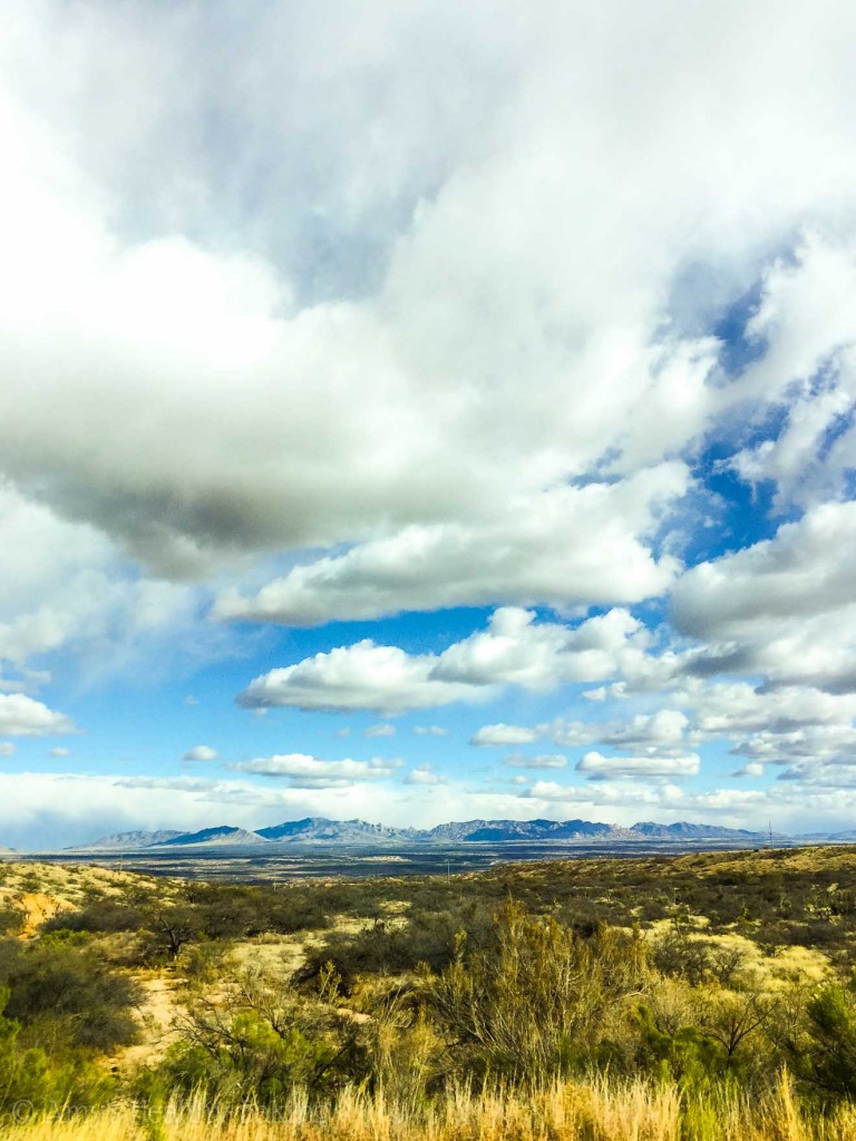 Sunday Spotlight #23 | Amy's Healthy Baking