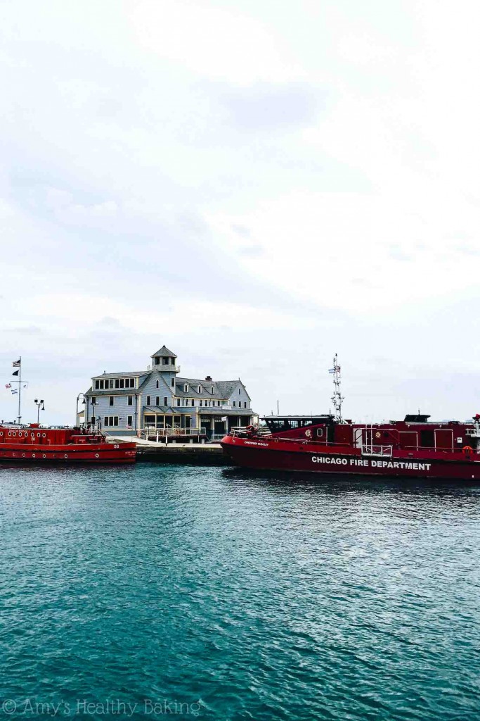 Sunday Spotlight #27 | Amy's Healthy Baking