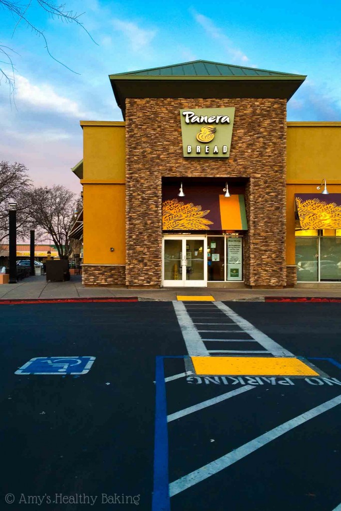 Sunday Spotlight #42 | Amy's Healthy Baking