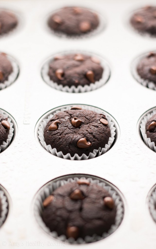 Healthy Mocha Chocolate Chip Mini Muffins | Amy's Healthy Baking