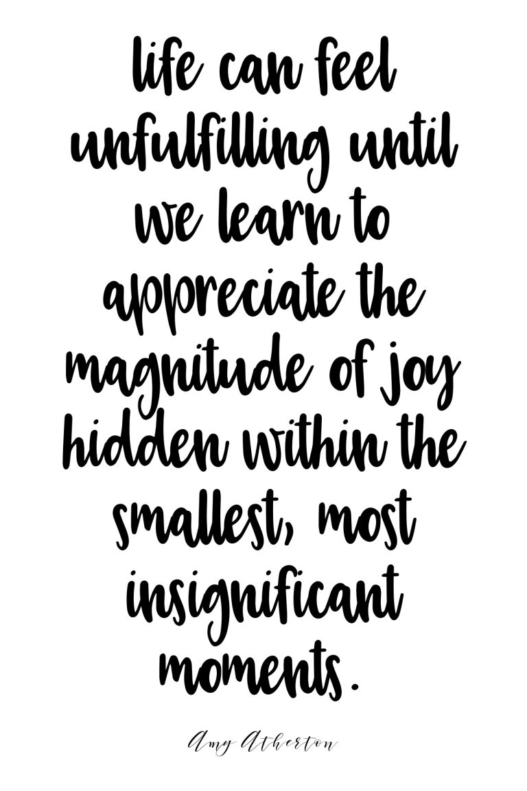 Sunday Spotlight #74 | Amy's Healthy Baking