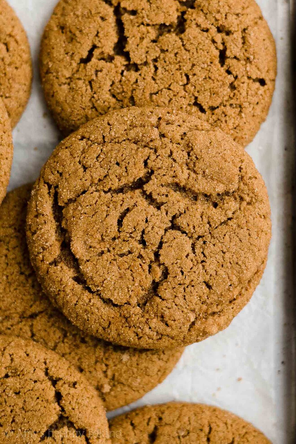 Gingerbread Snickerdoodles (Gingerdoodles) | Amy's Healthy Baking