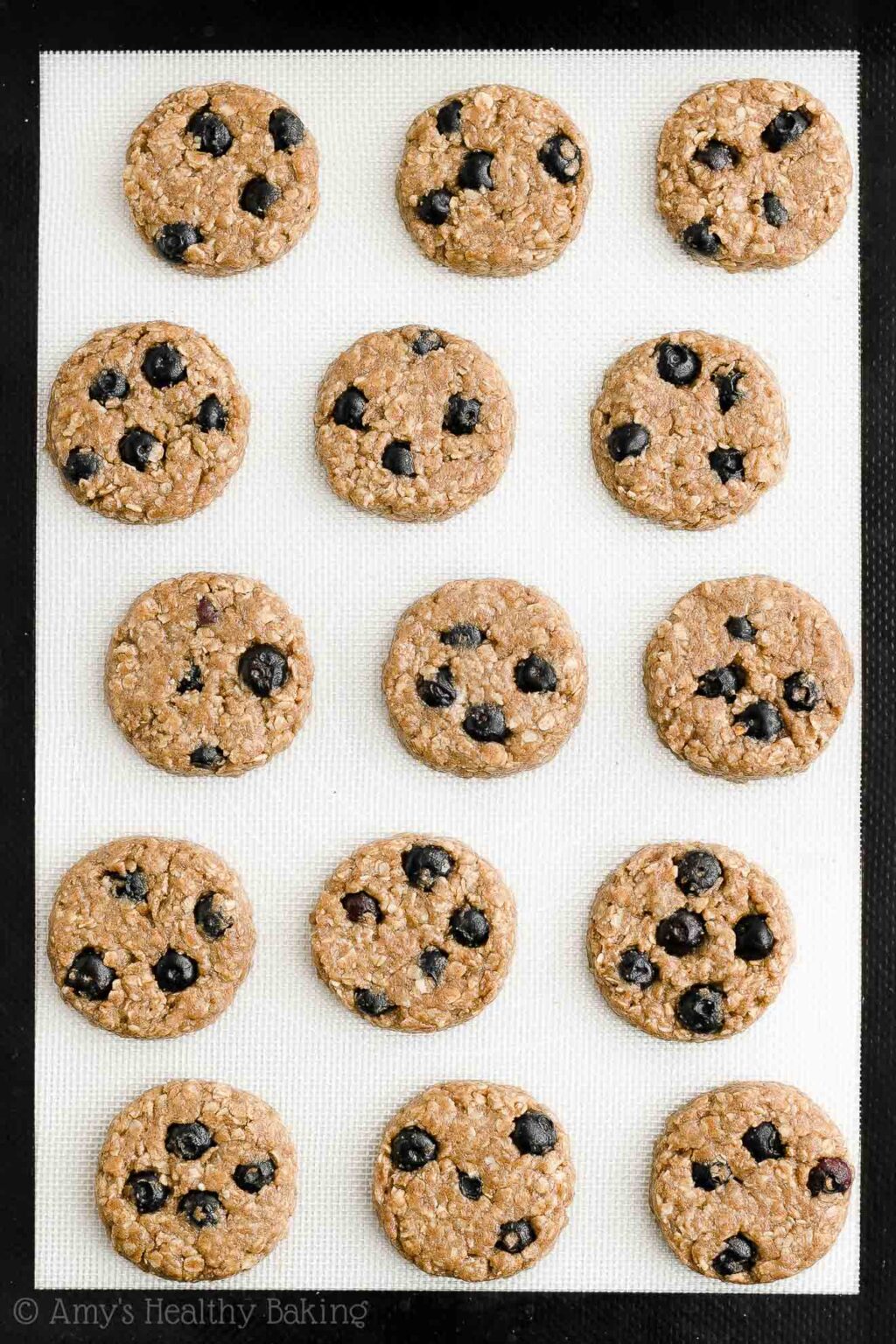 Healthy Blueberry Oatmeal Cookies | Amy's Healthy Baking